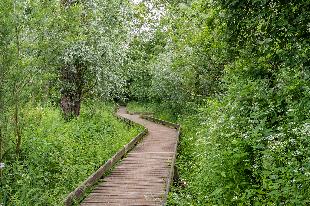 Gardens to Visit - Hemsby Beach Holiday Park