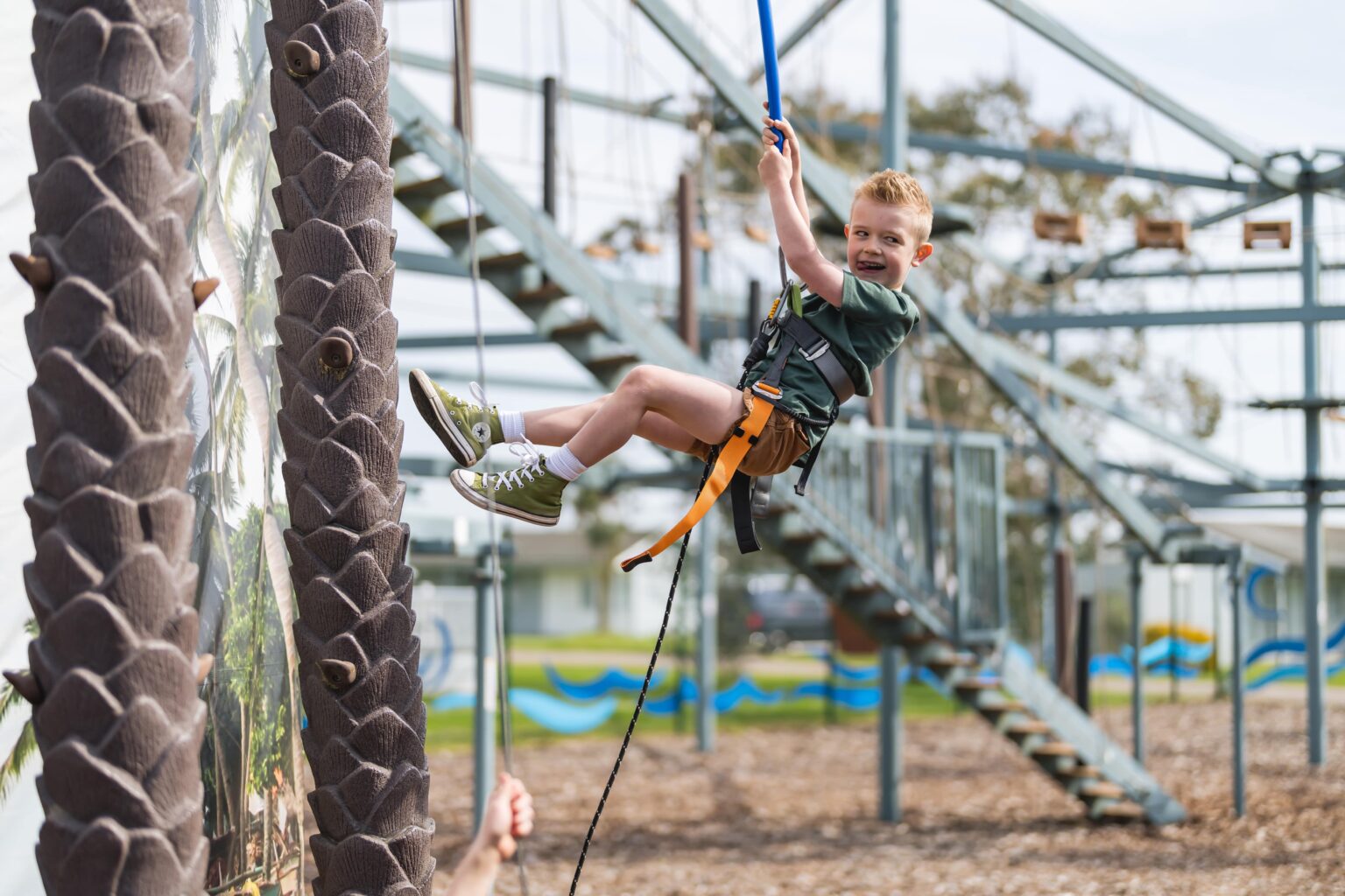 Coconut Tree Climbing experience - Book now